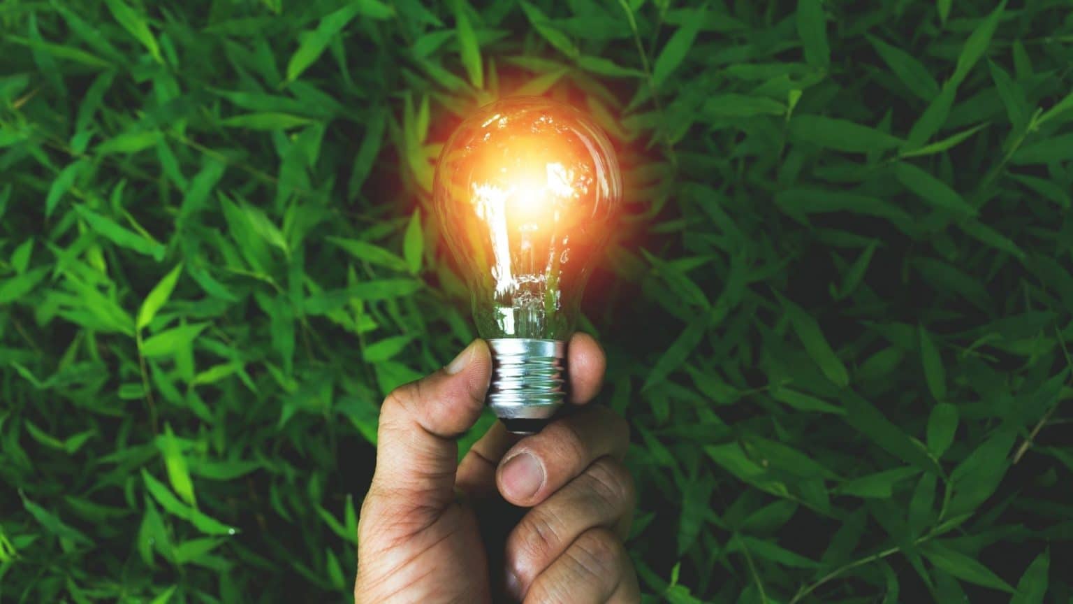 How Does Renewable Energy Help the Environment – Plural Gas and Electricity